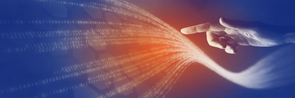 What we do - Oasis Group